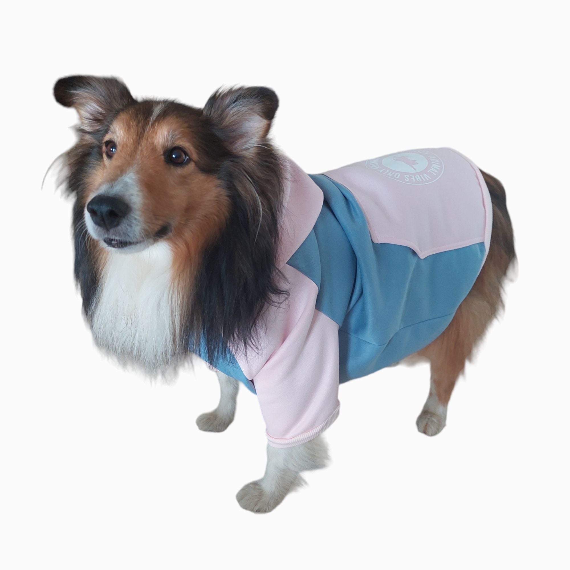 Buzo Para Perros Colores Pasteles Con Estampado "Animal Vibes Only ...